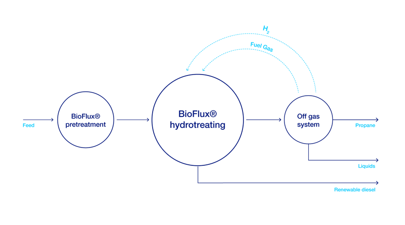 Wholistic approach to sustainability - initiatives by employees and ...