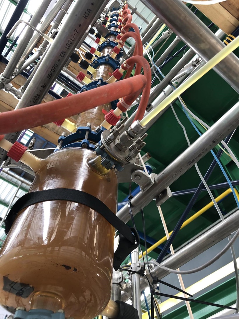 Sulzer Chemtech supports leading aroma producer with a unique bio-based ... Sulzer Chemtech supports leading aroma producer with a unique bio-based ...