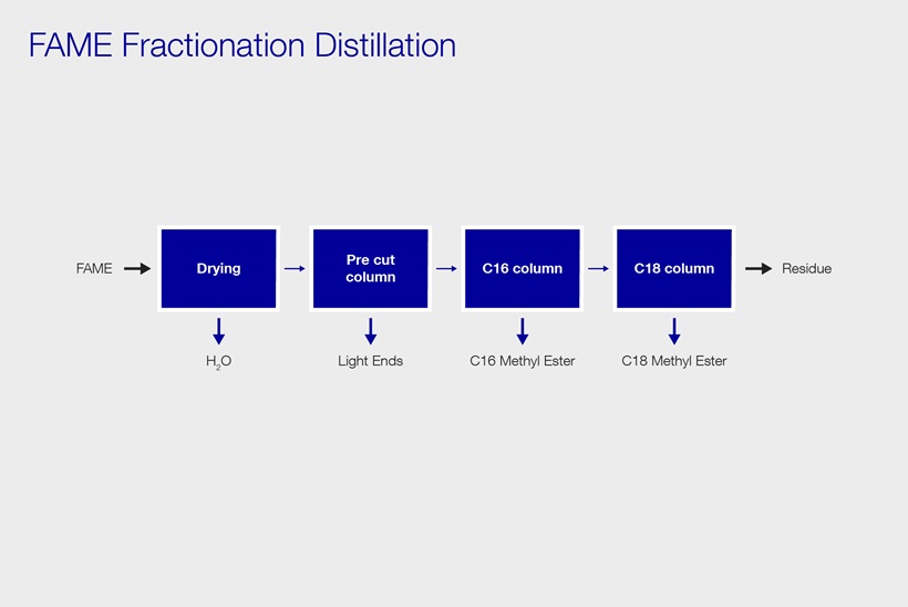 Biodiesel single cut methyl ester | Sulzer